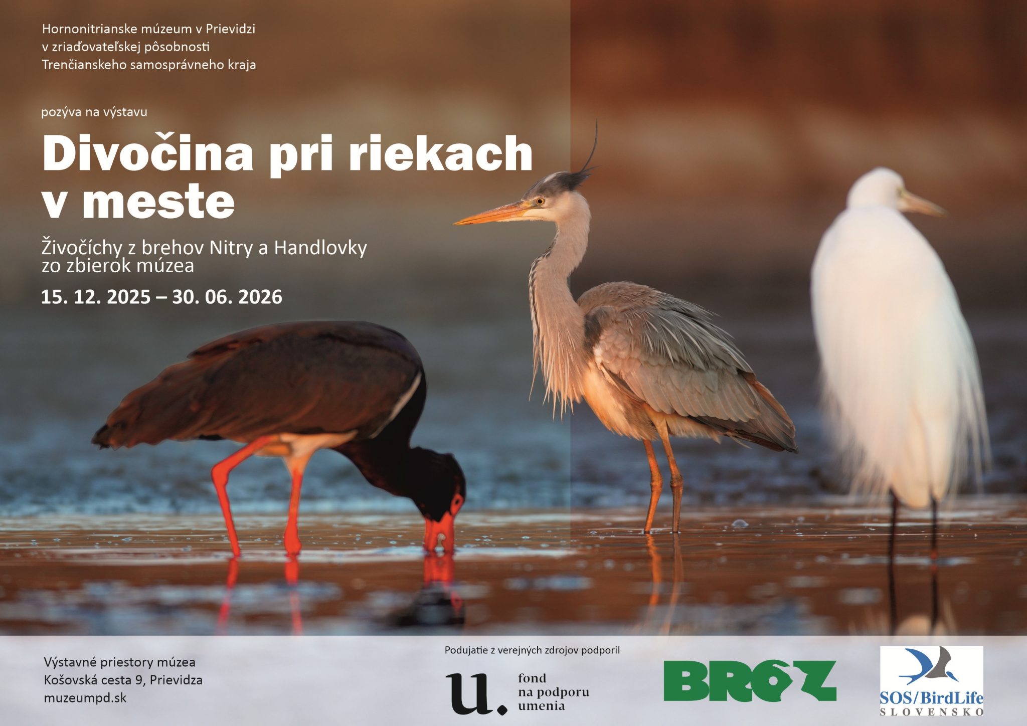 Divočina pri riekach mesta (výstava) - Prievidza